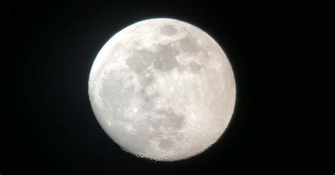 So My Dad Works In Optics And Hes Allowed To Bring Home Scopes And