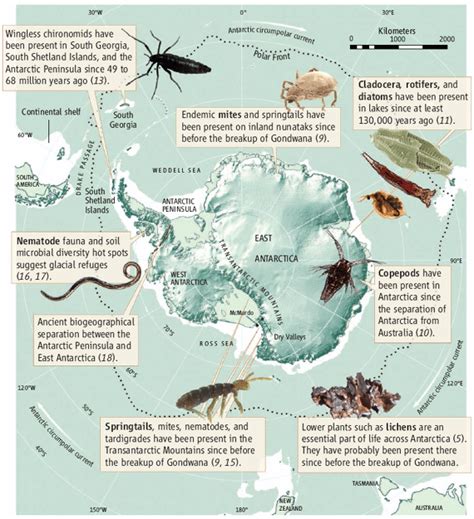 Antarctic Biodiversity Science