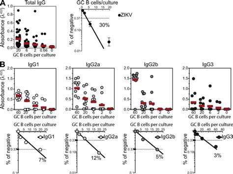 Quantification Of The Number Of Responding Gc B Cell Clones Per Download Scientific Diagram