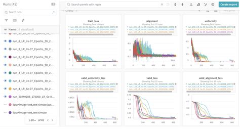 Lora를 통한 Clip 모델 Peft