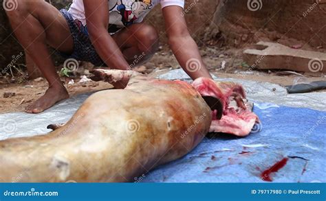 Mutilated Body Parts
