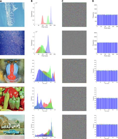 Secure Image Encryption Algorithm Using Chaos Based Block Permutation