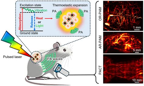 Photoacoustic Imaging Of Ph Sensitive Optical Sensors In Biological Tissues