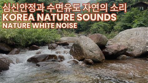심신안정과 수면유도 집중력을 높이는 자연의 소리 K Nature Sounds Youtube