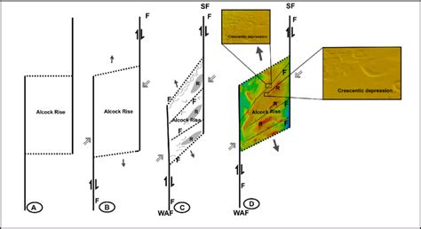 Figure S3 Block Diagram Represent The Overall Transtensional Dextral Download Scientific