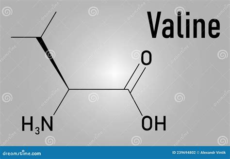 Valine C5h11no2 Molecule Formula Hand Drawn Imitation Of Valine