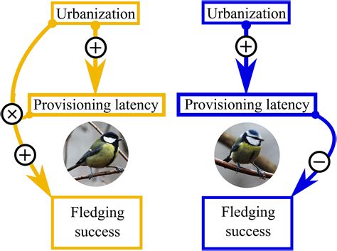 new lit alert coping with novelty across an urban mosaic provisioning