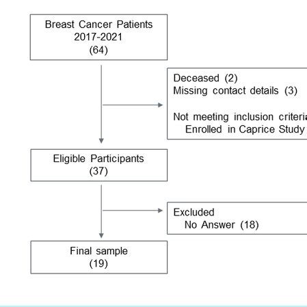 Patient Flow Diagram Numbers In Brackets Indicates Number Of Patients Download Scientific