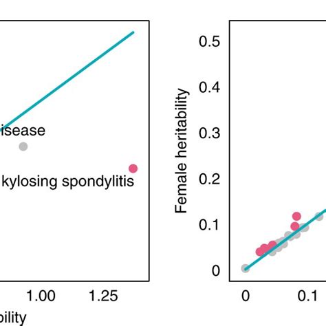 Sex Specific Heritability Estimate Comparison Scatterplots Of Male