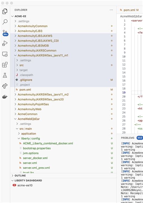 Svtcannot Start One Of The Projects In Acme In The Liberty Dashboard