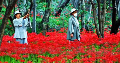 왕태석의 빛으로 쓴 편지 붉은 꽃무릇 파도 스님도 찰칵~