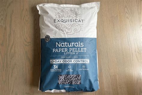 The 8 Best Eco Friendly Cat Litters Of 2026