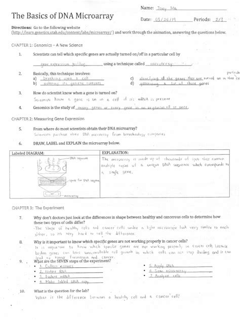 The Basics Of Dna Microarray Pdf