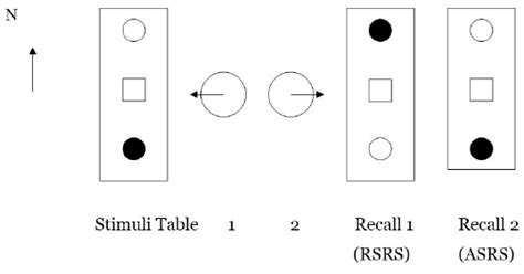 Setup Of The Rotation Task Download Scientific Diagram