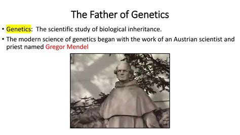 mendel and inheritance new ppt