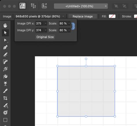 Affinity Designer How To Decrease The Image Size By A Particular Scaling Ratio IPad
