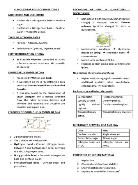 molecular notes 2024 pdf operon translation biology
