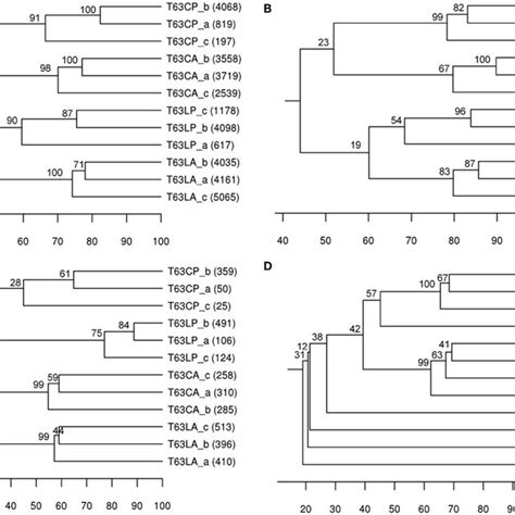 Upgma Cluster Analysis Of Bacterial Communities Structure Based On