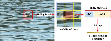 Fused Histogram Of Oriented Gradient Fhog For Feature Extraction Download Scientific Diagram