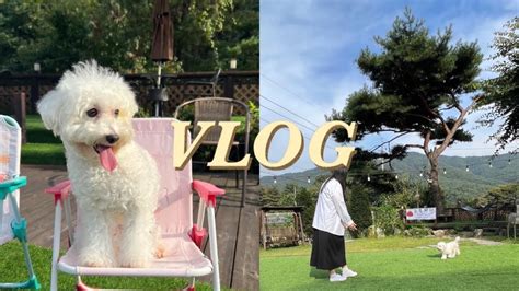 Vlog 여행 브이로그 초가을 포천 여행🍃 이동갈비 먹으러 여행간사람🙄 포천 애견펜션 포포펜션 Youtube