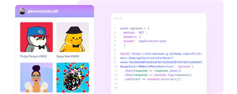 Nft Api Build On 30 Chains