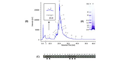 Separation And Identification Of Antimicrobial Peptides In Bovine Download Scientific Diagram