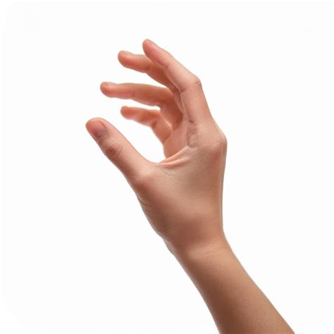 Premium Photo Hand Empty Catch Item On White Isolated Background