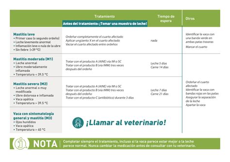 Establecimiento De Un Plan De Tratamiento Eficaz Para La Mastitis A