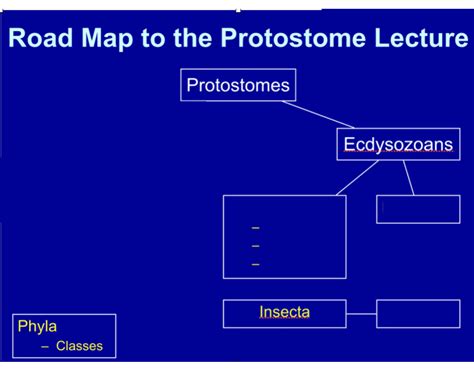 Ecdysozoans Quiz