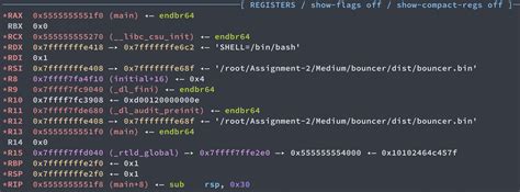 A Quick Guide To Get Started With Pwn · Github