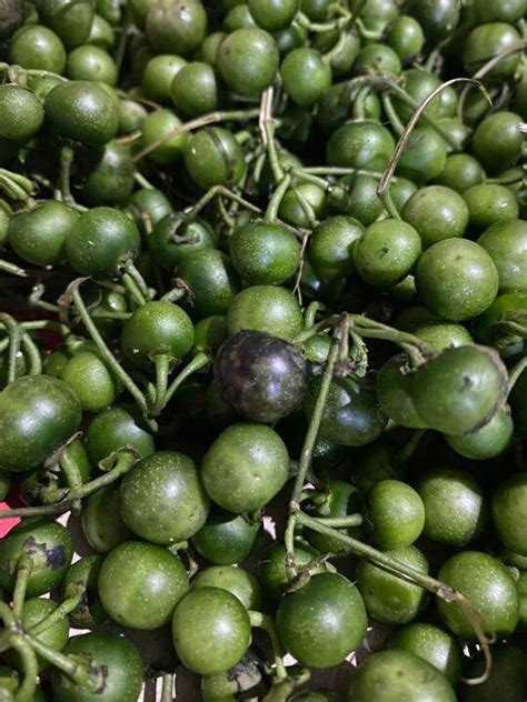 Buah Lenca Lokal Segar Per 1 Kg Lazada Indonesia