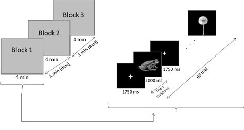 Figure 2 From Functional Connectivity Analysis In Eeg Source Space During Deception Semantic