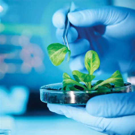 Science Lab Kit Subjects Carolina Distance Learning