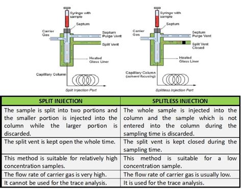 Split And Splitless Injections In Gas Chromatography What Exactly Is Split And Spitless
