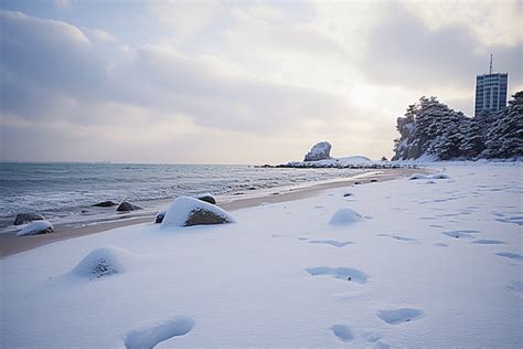 눈 덮힌 바위 강릉시 강원도 겨울 배경 일러스트 및 사진 무료 다운로드 Pngtree