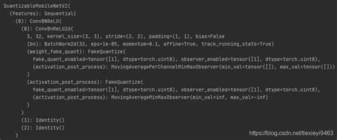 Pytorch量化感知训练详解 轻识