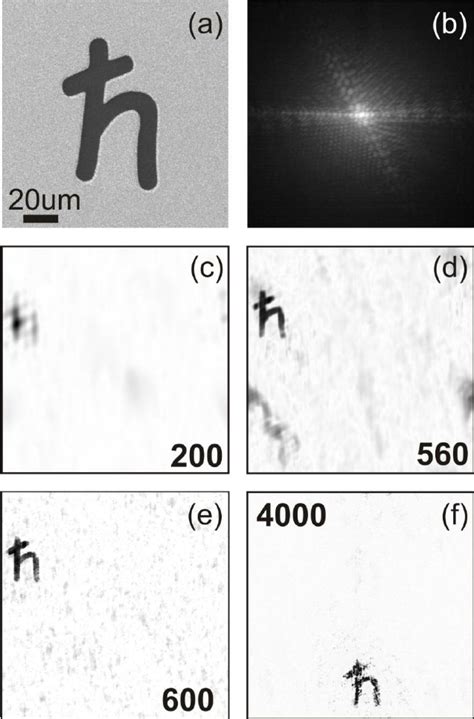 Recovery Of The Letter From Its Experimental Diffraction Pattern Download Scientific