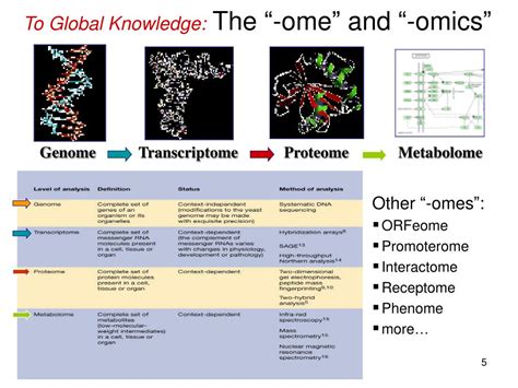 Ppt Functional Interpretation Of Large Scale Omics Data Through