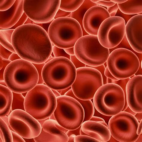 Šta Nam Poručuju Niski Šta Visoki Eritrociti I Koje Su Prosečne Vrednosti Razumevanje