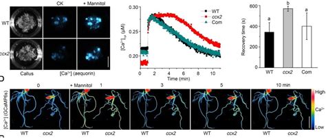 2024 Jcr重磅发布：jipb影响因子9 3，五年if 10 8，稳居全球植物科学前列！ Book学术