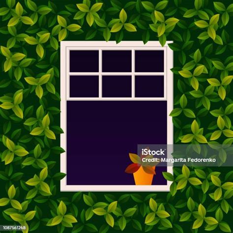 귀여운 흰 창 야외 보기입니다 벽 공장을 등반으로 덮여 있다 창턱에 남 비 스탠드에 꽃 봄 또는 여름 시간 벡터 일러스트 레이 션 0명에 대한 스톡 벡터 아트 및 기타