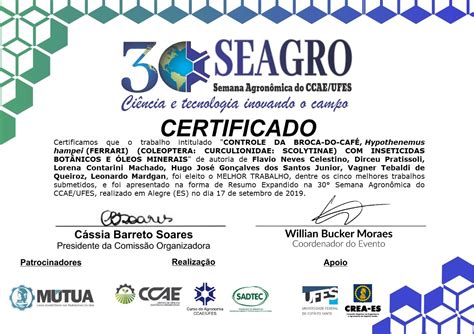 Modelo De Certificado De Bom Trabalho Modelo De Certificado De Bom Trabalho