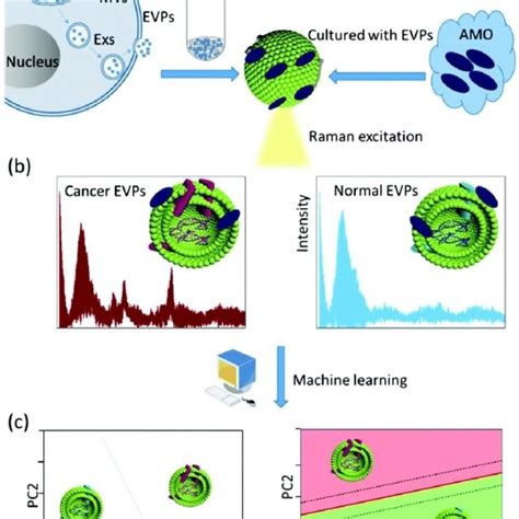 Infographic Depicting Deep Learning As A Subset Of Artificial