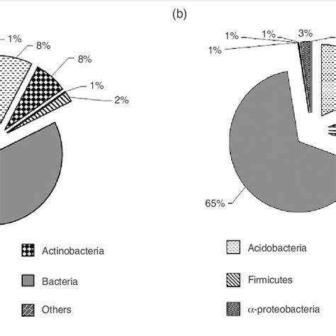 Prokaryotic Phyla For Deep Peat Forest And Logged Over Deep Peat Forest