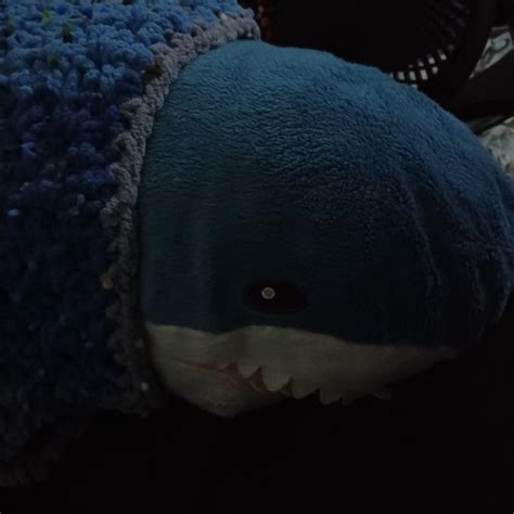 burrito blahaj : r/BLAHAJ