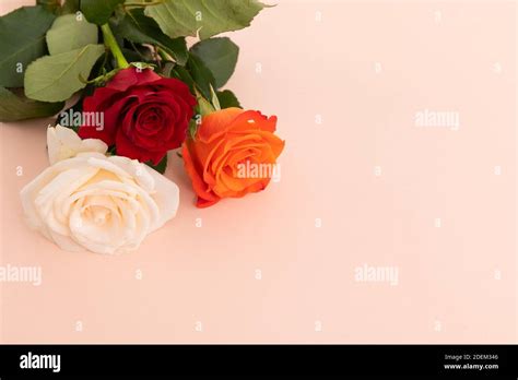 Bunch Of Yellow Roses With One Red Rose