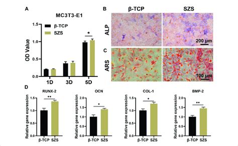 Effect Of Macrophagescaffold Conditional Medium On Mc3t3 E1 Cells A