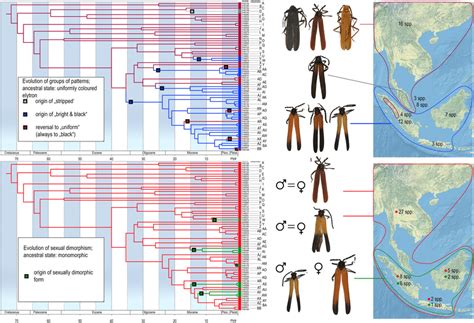 A Evolution Of Uniform And Bright Black Patterns B Evolution Download Scientific