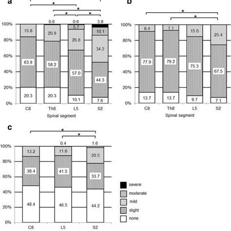 Comparison Of LBAS Density At Different Levels Of The Spinal Cord The Download Scientific