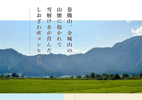 メディアとテキストブロック wordpress を css でカスタマイズした例② lightning g3 vk blocks